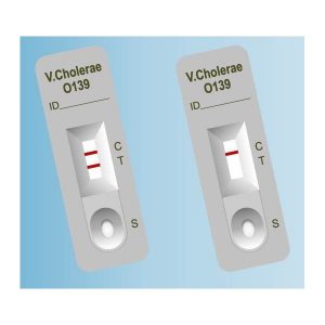 Cholera Rapid Test – Ivd Rapid Tests